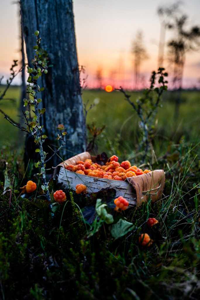 Nature & routes - Ranua Finland